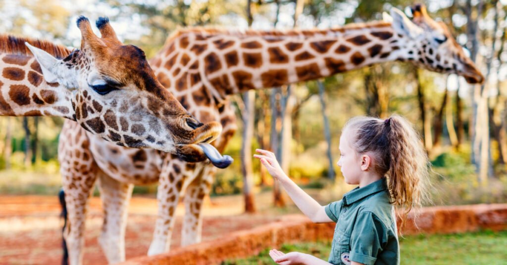 Are Zoos Necessary? The Debate Over Their Role in Wildlife Conservation ...